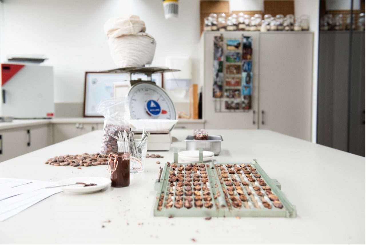 Amsterdam: The World's Largest Cocoa Cluster - Daarnhouwer & Co