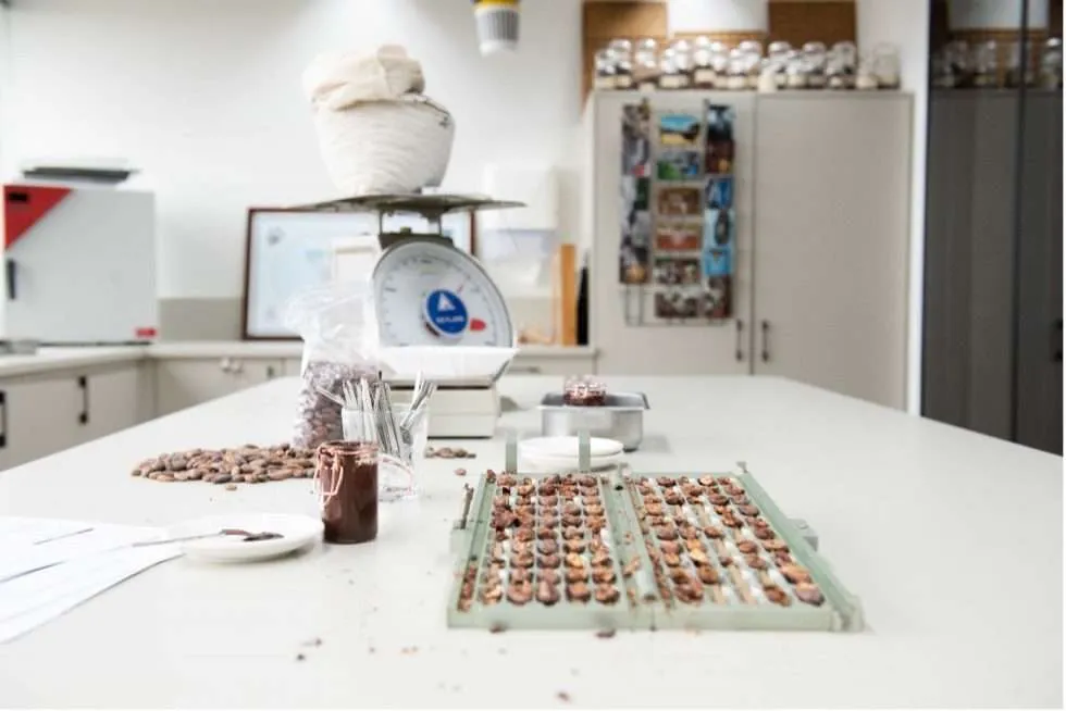 Amsterdam: The World's Largest Cocoa Cluster - Daarnhouwer & Co